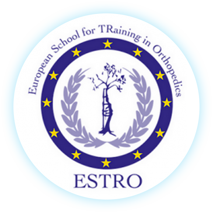 Estro Project